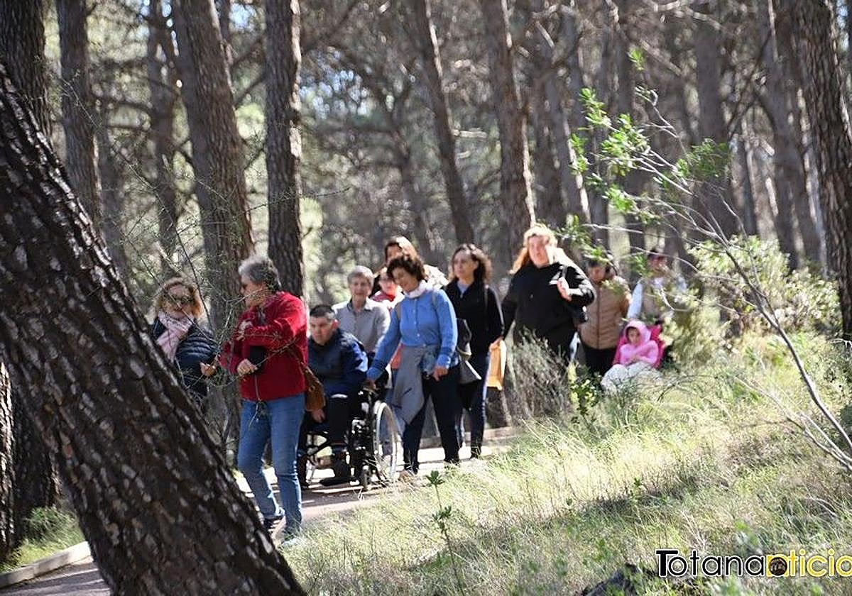 JC PALETS organiza una ruta accesible con motivo del Día Internacional de los Bosques | La Verdad
